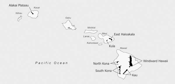 Proposal would make 21,000 acres on Maui ‘critical habitat’ for ‘i‘iwi ...